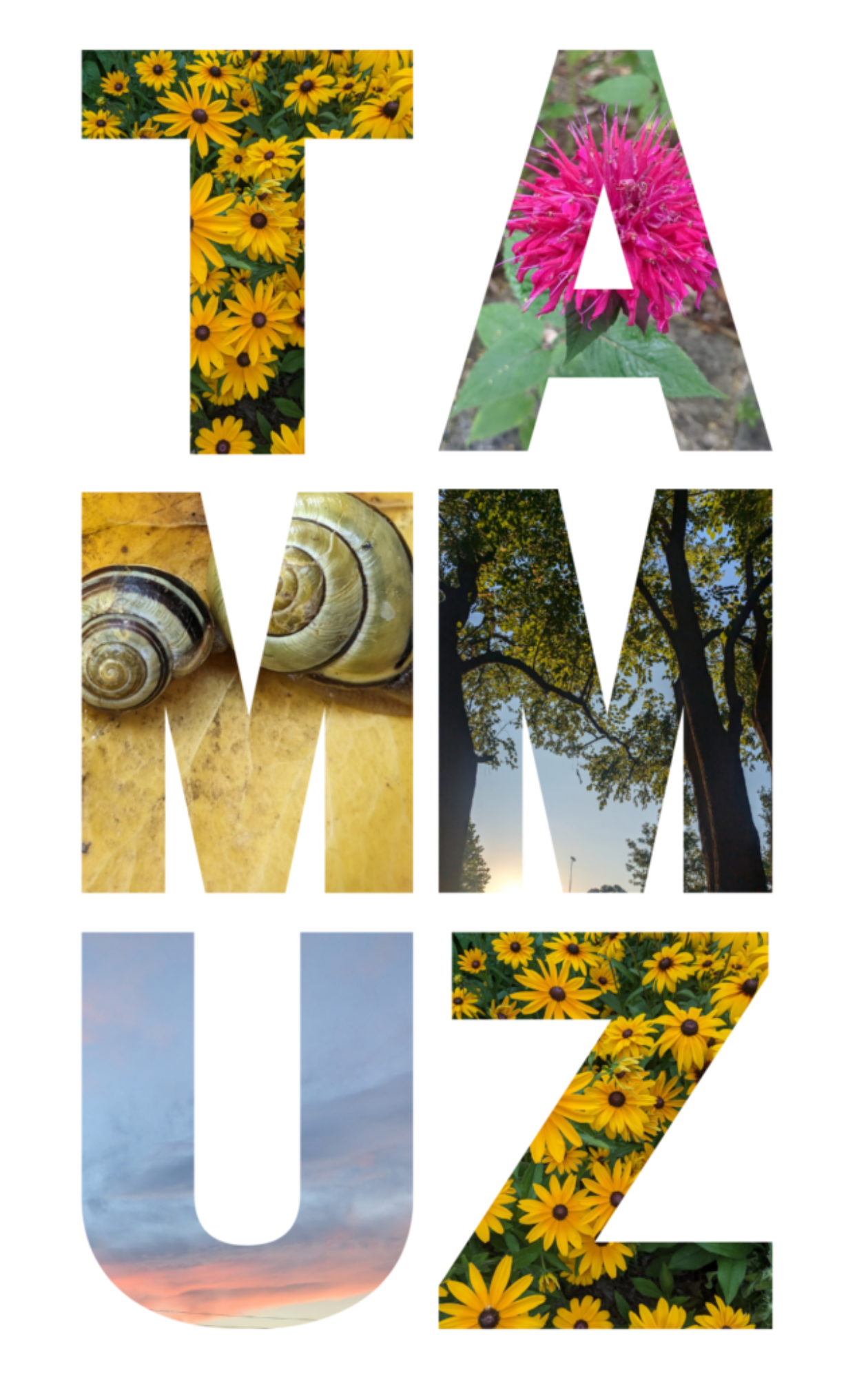 Monthly Zine Archive - Jewish Museum of Maryland